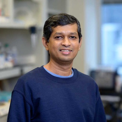 The Eric Lai Lab | Sloan Kettering Institute