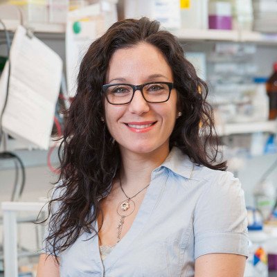 The Kayvan Keshari Lab | Memorial Sloan Kettering Cancer Center