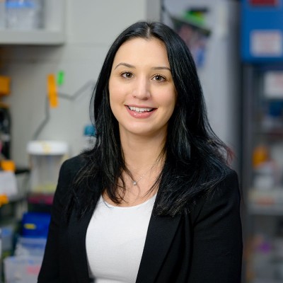 The Thomas Vierbuchen Lab | Sloan Kettering Institute