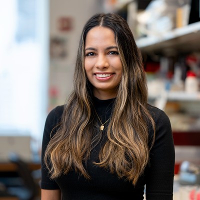 The David Scheinberg Lab | Sloan Kettering Institute