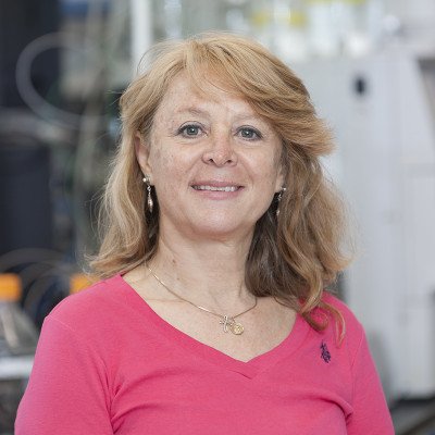 The Christopher Lima Lab | Sloan Kettering Institute