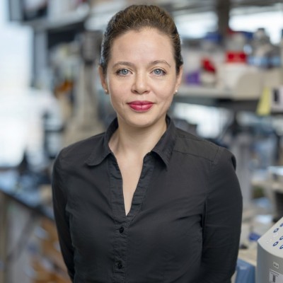 The Luis Diaz Jr. Lab | Memorial Sloan Kettering Cancer Center