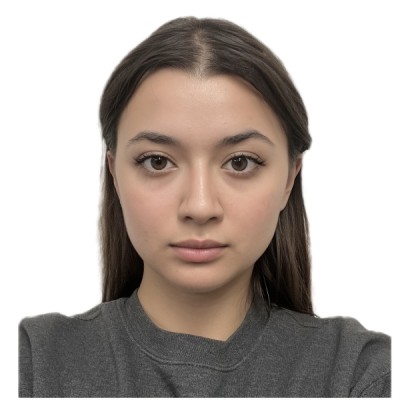 The Morgan Huse Lab | Sloan Kettering Institute