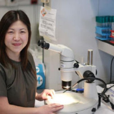 The Scott Keeney Lab | Sloan Kettering Institute