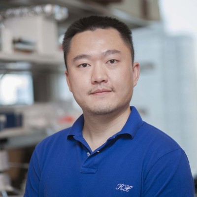 The Ming Li Lab | Sloan Kettering Institute