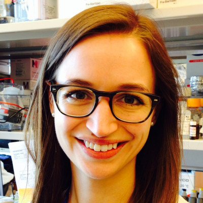 The Jan Grimm Lab | Sloan Kettering Institute