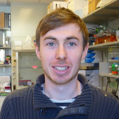 The John Petrini Lab | Sloan Kettering Institute