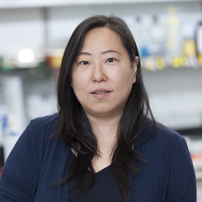 The Xuejun Jiang Lab | Sloan Kettering Institute