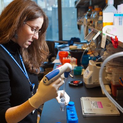 The Ross Levine Lab | Memorial Sloan Kettering Cancer Center