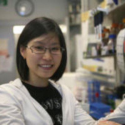 The Xiaolan Zhao Lab | Sloan Kettering Institute