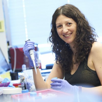 The Meng-Fu Bryan Tsou Lab | Sloan Kettering Institute
