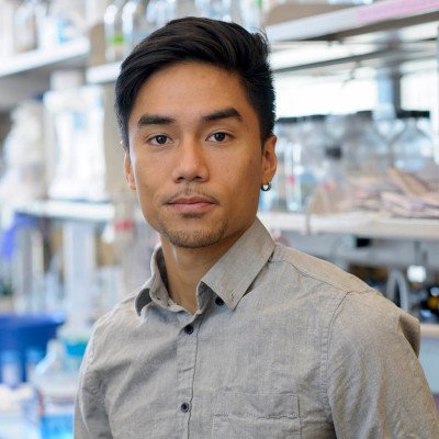 The Morgan Huse Lab | Sloan Kettering Institute