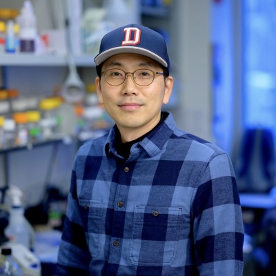 The John Petrini Lab | Sloan Kettering Institute