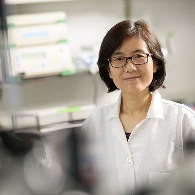 The Danwei Huangfu Lab | Sloan Kettering Institute