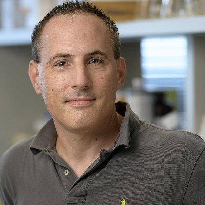 The Philipp Niethammer Lab | Sloan Kettering Institute