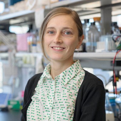 The Morgan Huse Lab | Sloan Kettering Institute