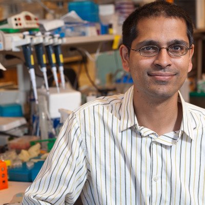 The David Solit Lab | Memorial Sloan Kettering Cancer Center