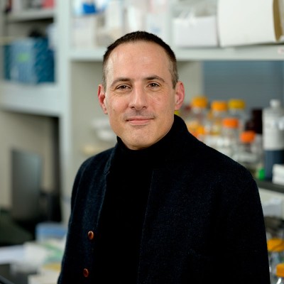 The Philipp Niethammer Lab | Sloan Kettering Institute