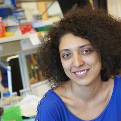 The Ming Li Lab | Sloan Kettering Institute