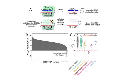 The Functional Genomics Initiative | Memorial Sloan Kettering Cancer Center