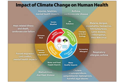 Sustainability at Memorial Sloan Kettering | Memorial Sloan Kettering ...