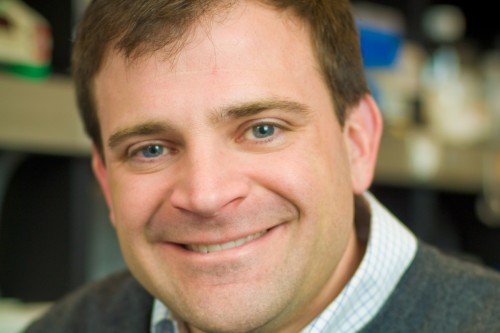 David Weinstock | Sloan Kettering Institute