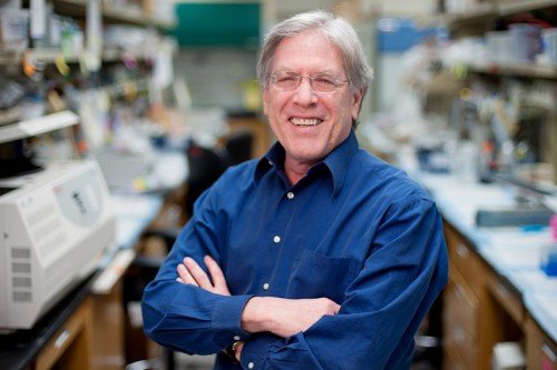 Charles J. Sherr | Sloan Kettering Institute