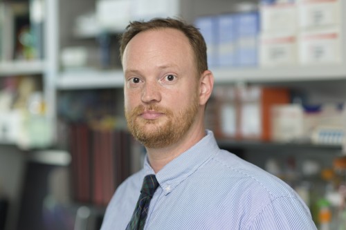 Alex Root | Sloan Kettering Institute