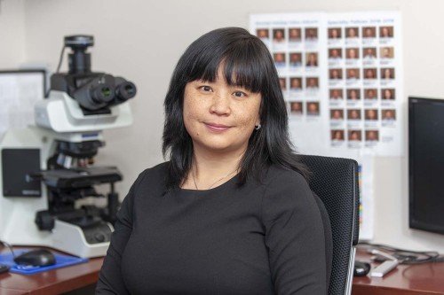 Bin Xu, MD, PhD - MSK Pathologist