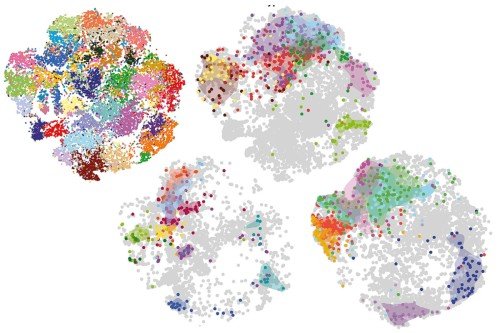 The Alan and Sandra Gerry Metastasis and Tumor Ecosystems Center ...