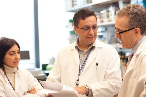 To Improve Immunotherapy, Researchers Look to Shift Immune Cells ...