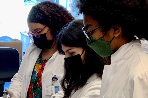 Science Enrichment Program | Memorial Sloan Kettering Cancer Center
