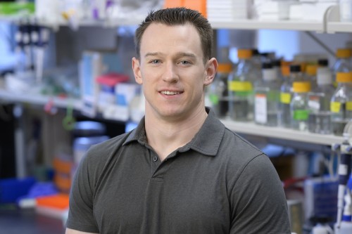 William Alread | Sloan Kettering Institute