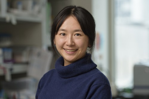 Lexi Sun | Sloan Kettering Institute