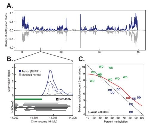 The Samuel Singer Lab: Research Overview | Memorial Sloan Kettering ...