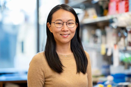 The James Fagin Lab: Yi Liu | Memorial Sloan Kettering Cancer Center