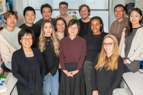 The Xiaolan Zhao Lab | Sloan Kettering Institute