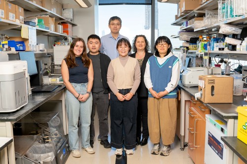 The Xinbo Yang Lab | Sloan Kettering Institute