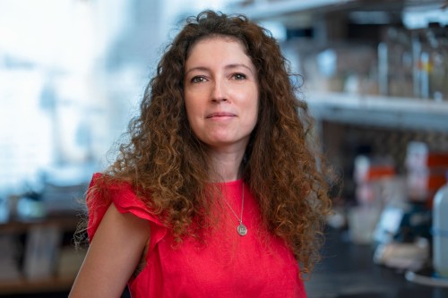 Francesca Manara | Sloan Kettering Institute