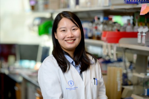The Tobias Hohl Lab: Yao Yu | Memorial Sloan Kettering Cancer Center