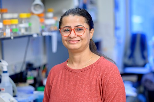 Anju Sharma | Sloan Kettering Institute