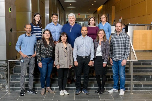 The James Fagin Lab | Memorial Sloan Kettering Cancer Center