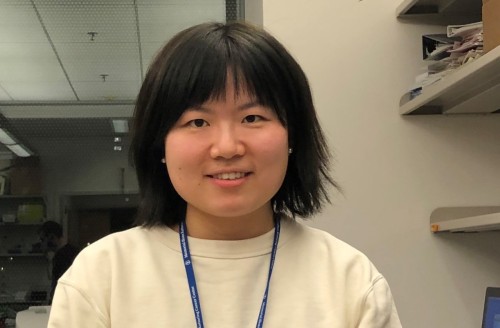 MSK Scientists Uncover RNA’s Hidden Role as Protein Chaperone ...