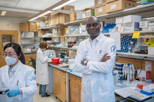 Department of Pathology and Laboratory Medicine | Memorial Sloan ...