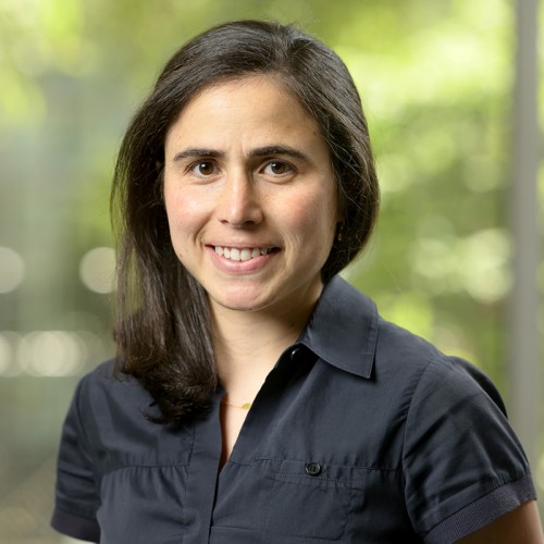 Susan Ehrenkranz De Wolf, MD - MSK Leukemia Specialist