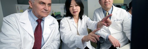 Winston Wong, MD - MSK Head and Neck Medical Oncologist