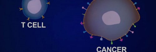 New Study Shows Immunotherapy and Chemo Combination Extends Survival ...