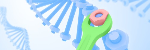 Repairing DNA Damage in Cancer Cells | Memorial Sloan Kettering Cancer ...