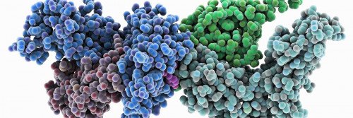 Immunotherapy Cancer Treatment | Memorial Sloan Kettering Cancer Center