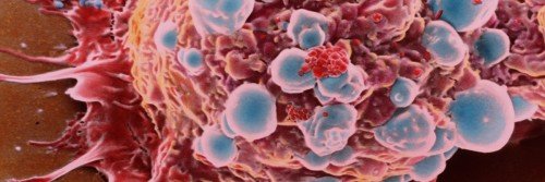 Don't Scratch That Mole? Scientists Are Learning More about ...